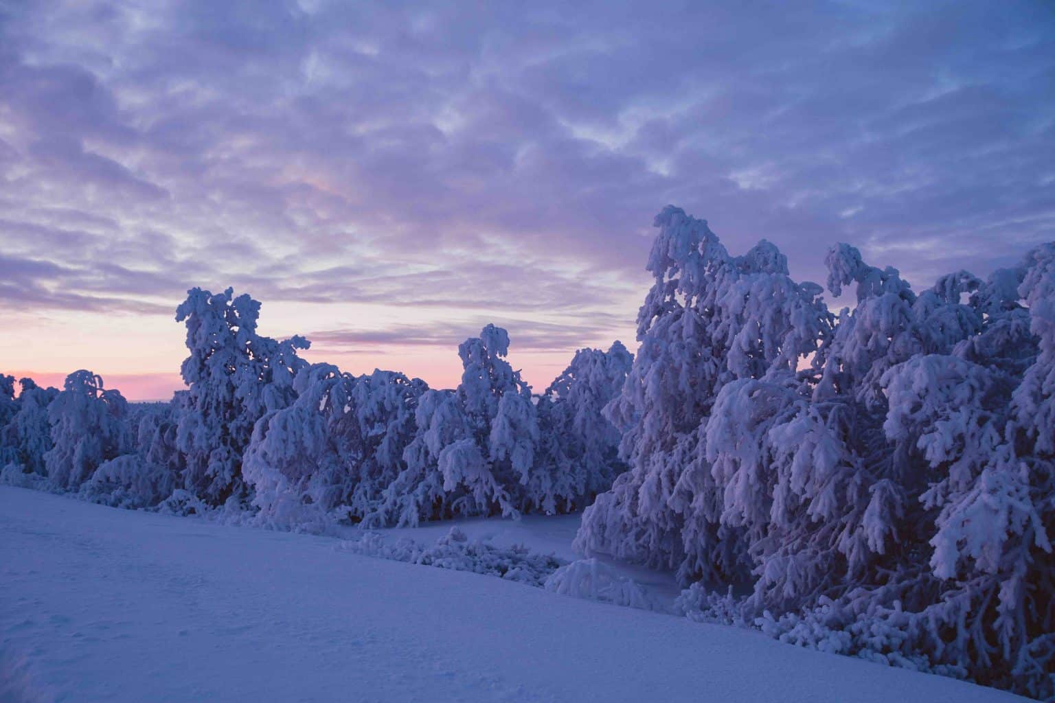Northern Lights & Eight Seasons - Visit Inari, Finland, Lapland