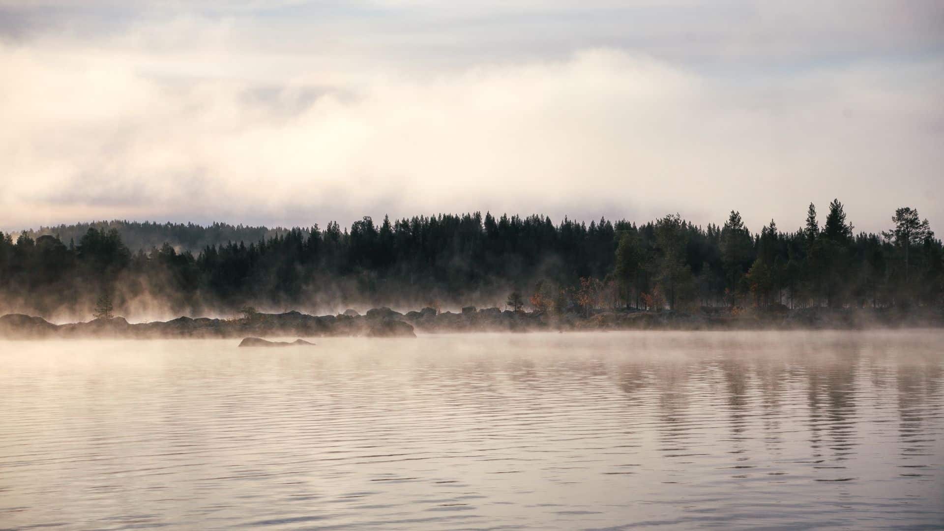 Data breach: Important Updated Information for Visit Inari Customers ...